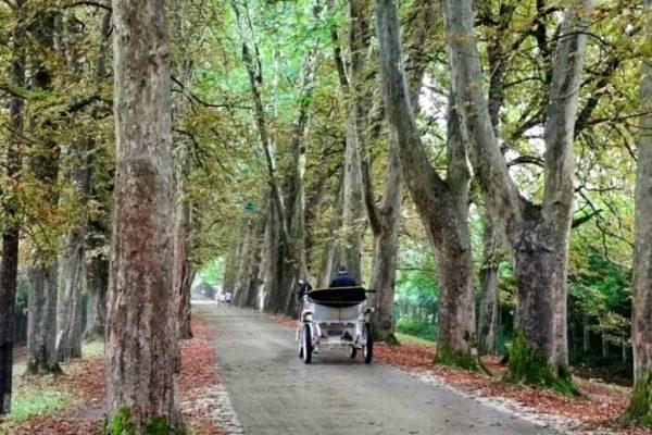 Ilidza: Das perfekte Ausflugsziel von Sarajevo