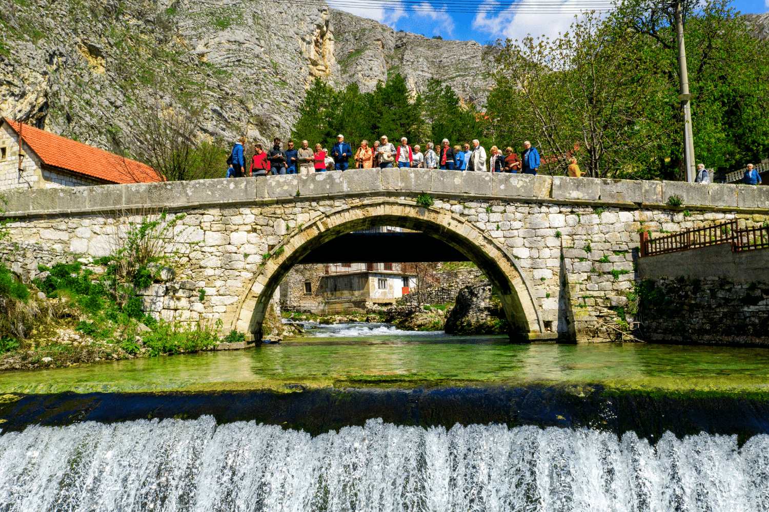 Die Wildpferde von Livno in Bosnien und Herzegowina