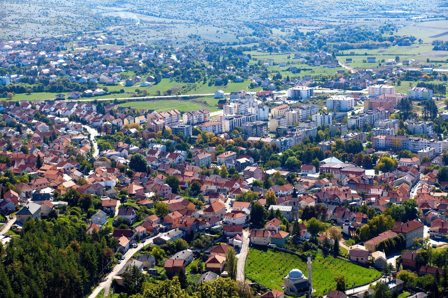 Die Wildpferde von Livno in Bosnien und Herzegowina