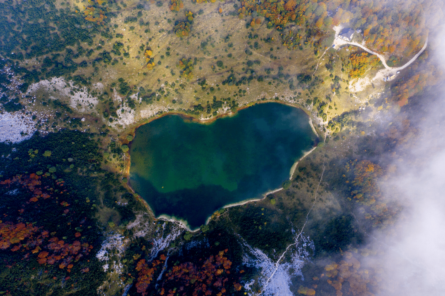 Die Wildpferde von Livno in Bosnien und Herzegowina